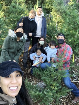 PATCHEN CALIFORNIA CHRISTMAS TREE FARMS - 63 Photos & 48 Reviews ...