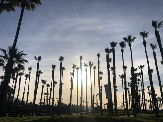 HOLLYWOOD BEACH - 54 Photos & 20 Reviews - Oxnard, California - Beaches ...