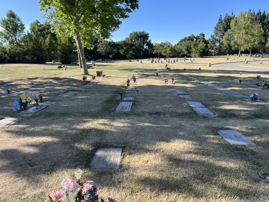 ALTA MESA FUNERAL HOME AND MEMORIAL PARK - Updated December 2025 - 45 ...