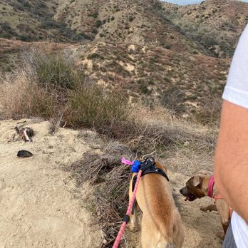 STOUGH CANYON NATURE CENTER - Updated February 2026 - 404 Photos & 100 Reviews - 2300 Walnut Ave ...