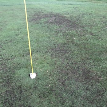 GREENDALE GOLF COURSE - Updated August 2025 - 27 Photos & 49 Reviews ...