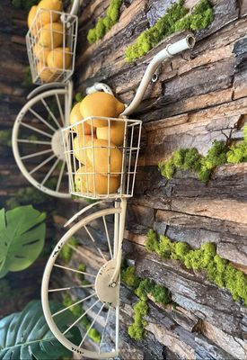 BOTANY LOUNGE - Updated December 2025 - 23 Photos - 6 Village Square E ...