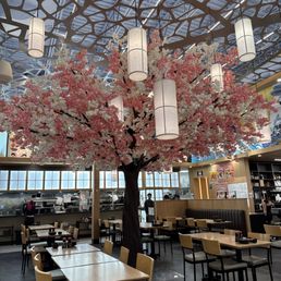 KINJO SUSHI & GRILL - Updated September 2025 - 67 Photos - 1739 102 ...