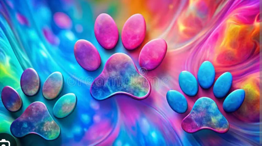 SHANA’S PET TRANSPORTATION - Updated February 2025 - Houston, Texas - Pet Transportation - Phone ...