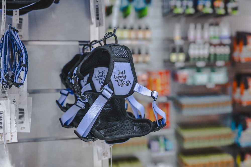 ASHARIO PETS - Updated May 2024 - 83 Photos - Yelp