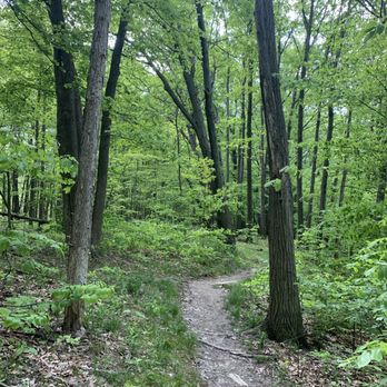 MILL STREAM RUN RESERVATION - Updated October 2025 - 37 Photos ...