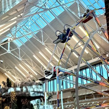 SCHEELS - Updated October 2025 - 136 Photos & 28 Reviews - 6929 S ...