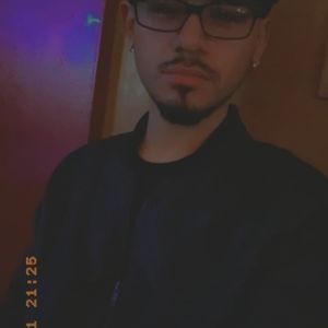 THE MENAGERIE - 42 Photos & 182 Reviews - 3581 University Ave ...