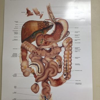 MATTHEW HUGHES MD - Updated October 2025 - 21 Photos - 4333 N Josey Ln ...