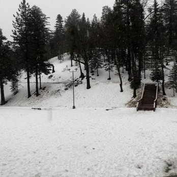 PALI INSTITUTE - Updated February 2025 - 229 Photos & 316 Reviews ...