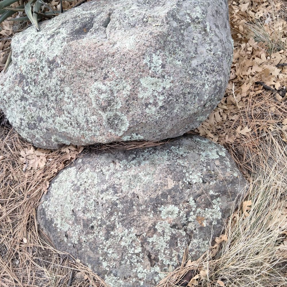 FATMAN’S LOOP TRAIL - Updated December 2025 - 28 Photos & 16 Reviews ...