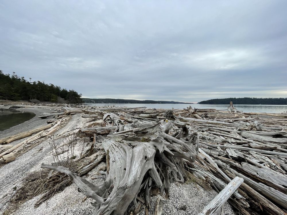 KUKUTALI PRESERVE - Updated December 2024 - 10 Photos - Kiket Island Rd ...