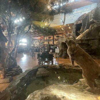 BASS PRO SHOPS - Updated December 2025 - 255 Photos & 157 Reviews ...