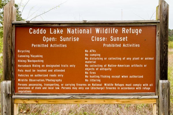 CADDO LAKE NATIONAL WILDLIFE REFUGE - Updated December 2025 - 14 Photos ...