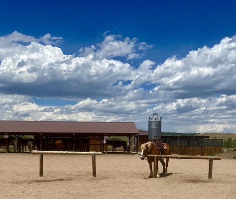 BEAR CREEK STABLES - Updated August 2025 - 52 Photos & 44 Reviews ...