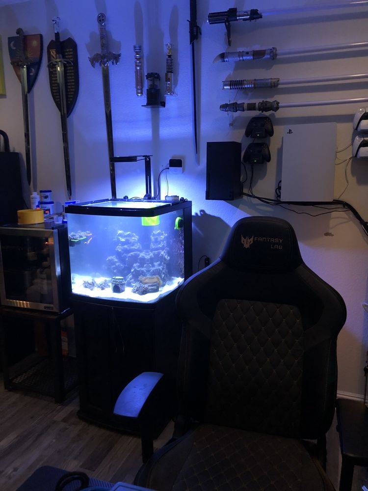 TIDY TANKS AQUARIUM - Updated December 2025 - 174 Photos - Sacramento ...
