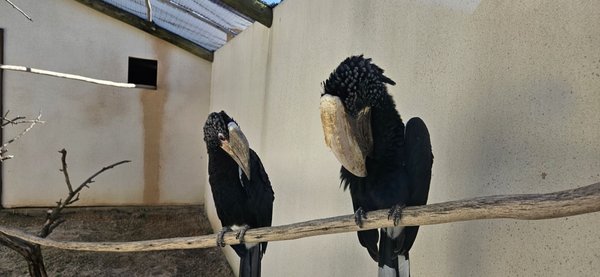 NOVA WILD - Updated October 2025 - 754 Photos & 257 Reviews - 1228 ...