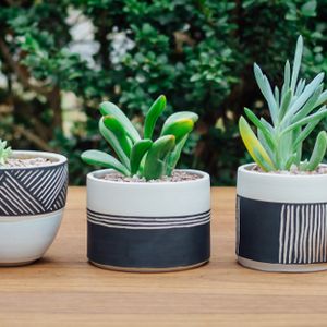 AUSTIN RENAISSANCE MARKET ON 23RD STREET - Updated March 2025 - 23RD ...