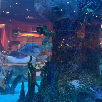 THE COWFISH SUSHI BURGER BAR - Updated June 2025 - 2508 Photos & 2060 ...