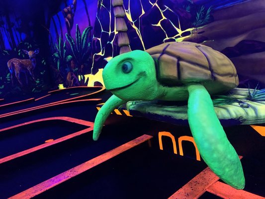 GLOWZONE 360 - 13 Photos - 4800 Dixie Rd, Mississauga, Ontario - Mini ...