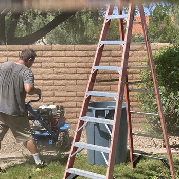 SAM THE TREE GUY - Updated September 2025 - 24 Photos & 21 Reviews ...