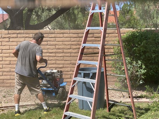 SAM THE TREE GUY - Updated September 2025 - 24 Photos & 21 Reviews ...