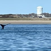 SAVERS - Updated October 2025 - 32 Photos & 41 Reviews - 2035 ...