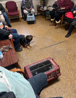 FOREST ANIMAL HOSPITAL - Updated December 2025 - 26 Photos & 121 ...