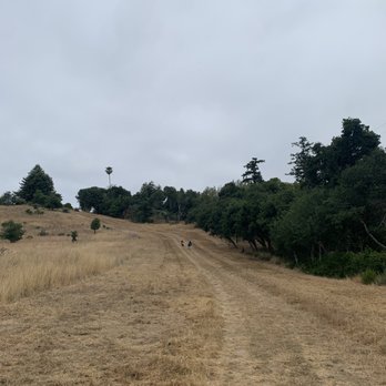 POGONIP - Updated October 2025 - 234 Photos & 42 Reviews - 333 Golf ...