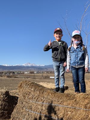 SUNFLOWER FARM - Updated April 2024 - 62 Photos & 36 Reviews - 11150 ...