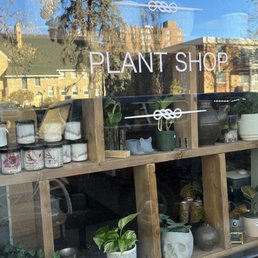 MAVEN - Updated December 2025 - 206 Photos & 124 Reviews - 1006 17 Ave ...