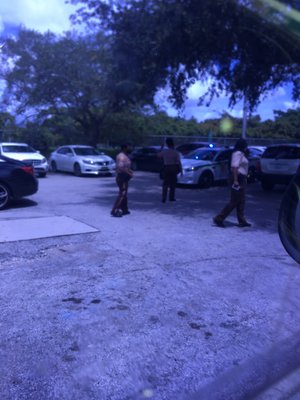 CENTRAL AUTO TAG AGENCY - Updated September 2025 - 12 Photos & 14 ...