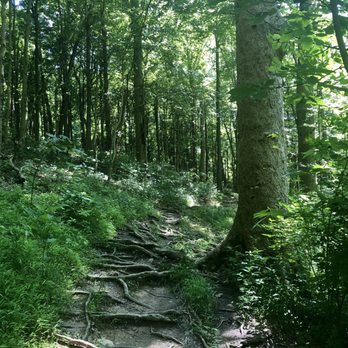 MT. AIRY FOREST - Updated December 2025 - 76 Photos & 34 Reviews - 5083 ...