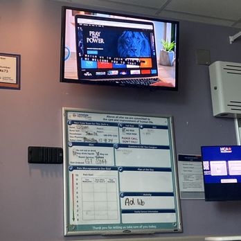 LEWISGALE MEDICAL CENTER - Updated January 2026 - 17 Photos & 49 ...