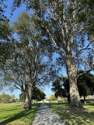 TWILA REID PARK - Updated August 2025 - 136 Photos & 35 Reviews - 3100 ...