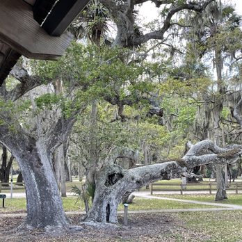 PRINCESS PLACE PRESERVE STATE PARK - Updated December 2024 - 78 Photos ...