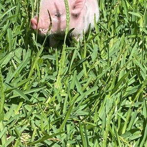 TURQUOISE ACRES RANCH - Updated October 2025 - 64 Photos - 3550 Schlipf ...