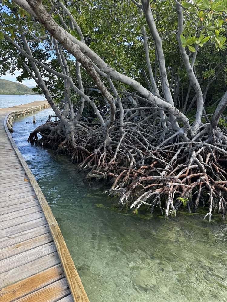 TORRES BOAT SERVICE - Updated December 2025 - 10 Reviews - La Parguera ...