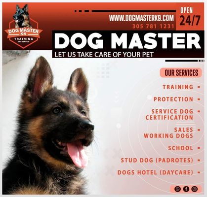 DOG MASTER K9 - Updated August 2025 - 122 Photos - 514 N St Cloud Ave ...