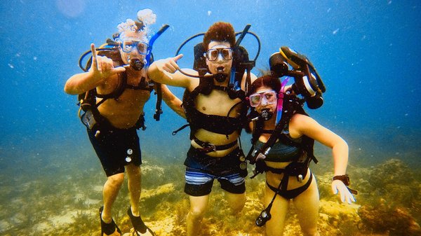 MIAMI SCUBA DIVER - Updated October 2025 - 65 Photos - 90 Alton Rd ...