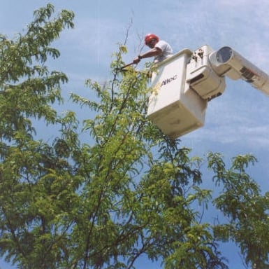 ARBOR MASTERS TREE SERVICE - Updated October 2025 - 8405 SW 15th St ...