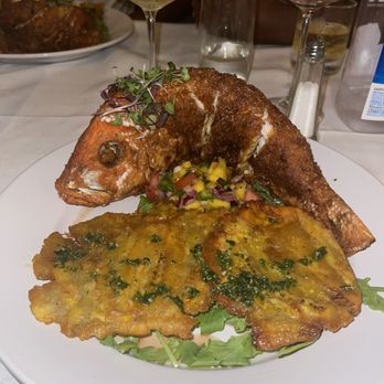 SOPHUSION FINE DINING - Updated April 2025 - 119 Photos & 43 Reviews ...