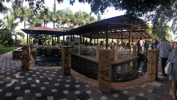 DUNI’S FARM - Updated July 2024 - 17 Photos - 15885 SW 246th St ...