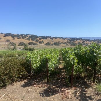 RUSACK VINEYARDS - Updated October 2025 - 167 Photos & 198 Reviews ...