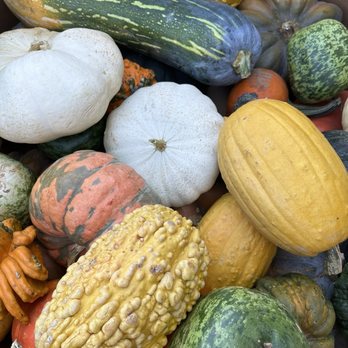 GOODWIN BROS FARM STAND - Updated December 2025 - 14 Photos & 11 ...