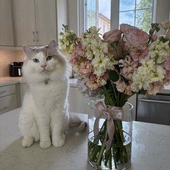 HANAYUZU - Updated December 2025 - 36 Photos & 15 Reviews - 14361 ...