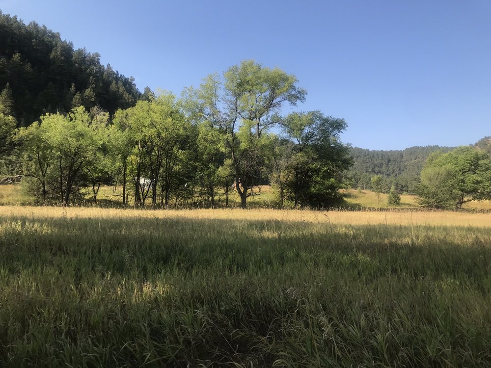 ALLEN RANCH - Updated July 2025 - 16 Photos & 11 Reviews - 13065 Fall ...