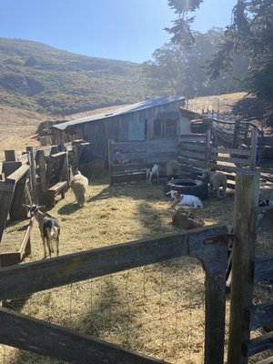 SLIDE RANCH - Updated January 2025 - 94 Photos & 33 Reviews - 2025 ...