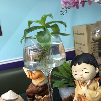 ROYAL TAPIOCA - Updated December 2024 - 62 Photos & 67 Reviews - 9455 ...