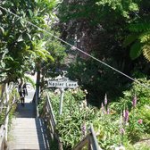 FILBERT STEPS - Updated December 2025 - 459 Photos & 250 Reviews ...